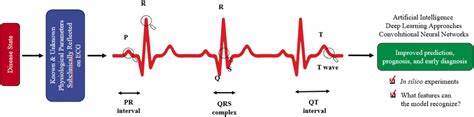 Figure 1 From Artificial Intelligence Opportunities In Cardio Oncology Overview With Spotlight