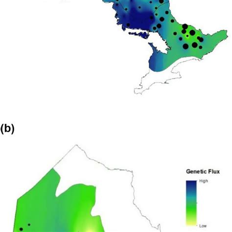 dispersal maps informed by net genetic flux values constructed using