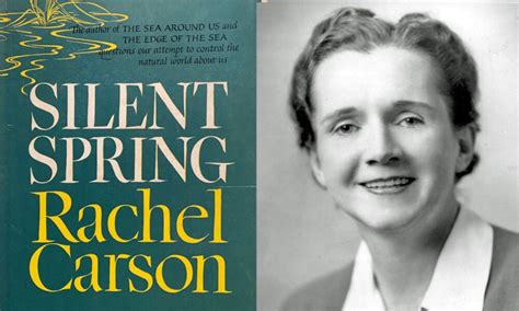 Rachel Carson Pittsburgh Beautiful