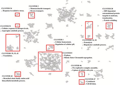 Grid Layout Of The 2 467 Gene Probes Of Eisens Yeast Dataset In This