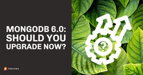MongoDB 6 0 Should You Upgrade Now