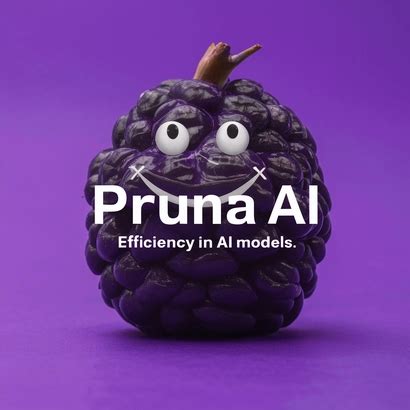 PrunaAI Efficiency In AI Models Datatunnel