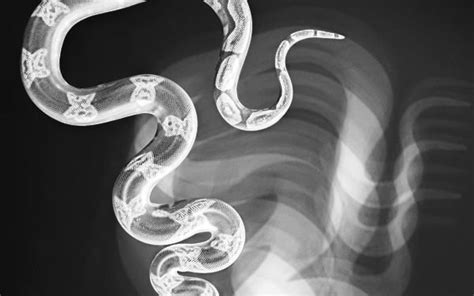 how to simplify complex conditions with python s match statement