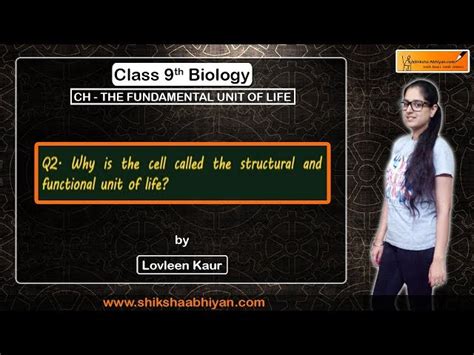 Why Cell Is Known As Structural And Functional Unit