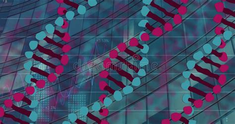 Animation Of Dna Strands And Data Processing Over Office Building Stock Video Video Of