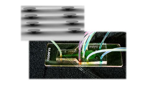 研究方向 光子技術研究院