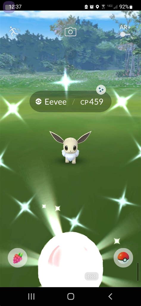 My Perfect Shiny Eevee R Pokemongo