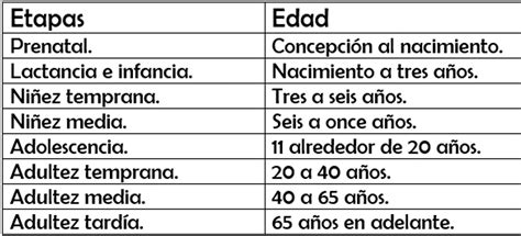 Etapas Del Desarrollo Del Ciclo Vital