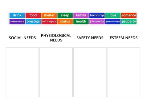 3 3 Different Needs Classification Categorize