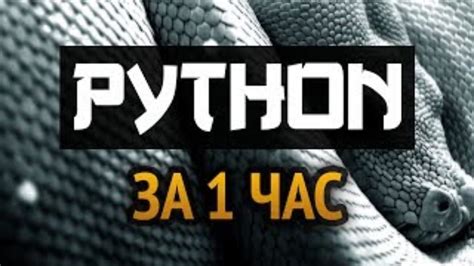 ТОП 120 Бесплатных Видео Уроков Python Eddupro