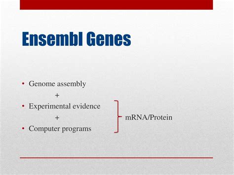 Ppt Browsing Genes And Genomes With Ensembl Genome Browser Powerpoint