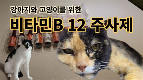 💖 비타민b 12 코발라민 주사제 방구석 주사놓기 Youtube