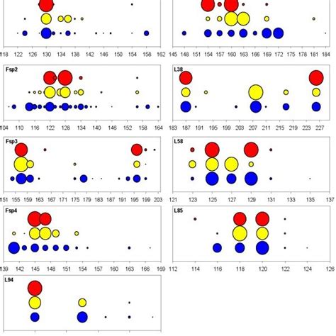 Allele Frequency Distribution Of Microsatellite Loci Each Circle