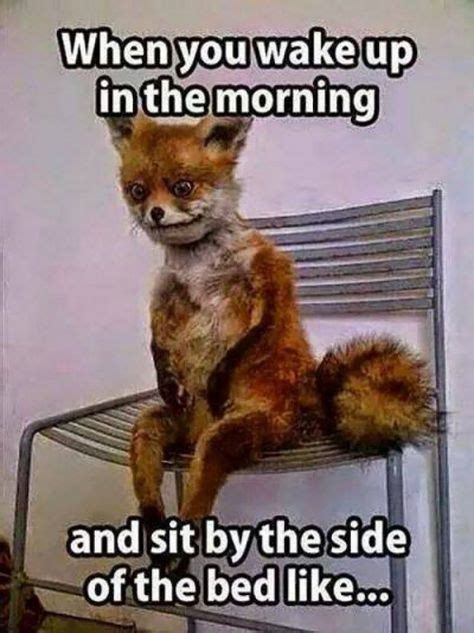 Funny Good Morning Memes Thrifty Nifty Mommy Funny Good Morning