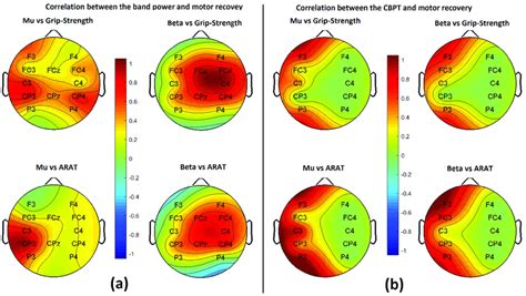 Scalp Topoplots Of Correlations Averaged Across All The Participants