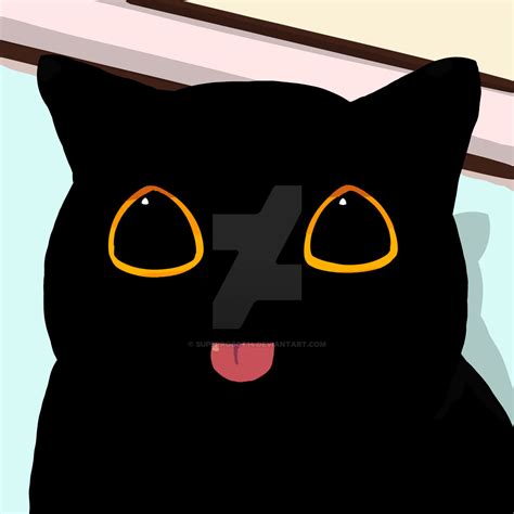 Funny Black Cat By Superrobot14 On Deviantart