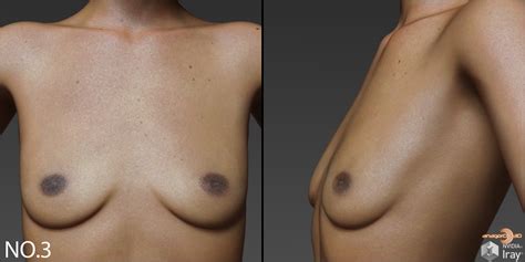 Small Breasts Morphs For G8f Vol 3 Daz 3d