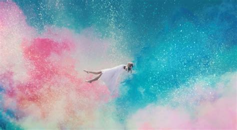 关于百乐 百乐贸易（深圳）有限公司