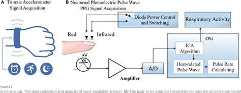 Figure 1 From Machine Learning Based Classification Of Circadian Rhythm