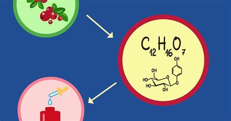 Pin On Health And Wellness