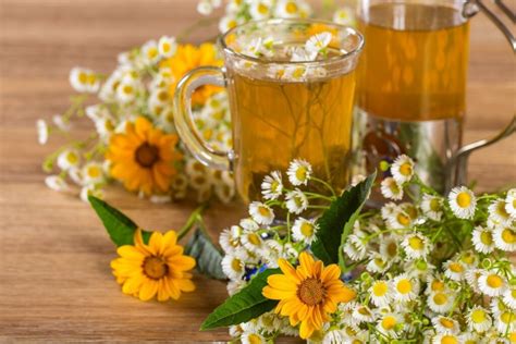 Effective Natural Treatment For Mastoiditis 🌿 4 Ingredients