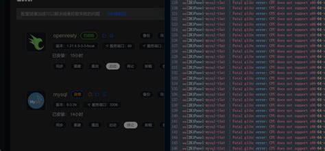 服务内部错误 Error Response From Daemon Container