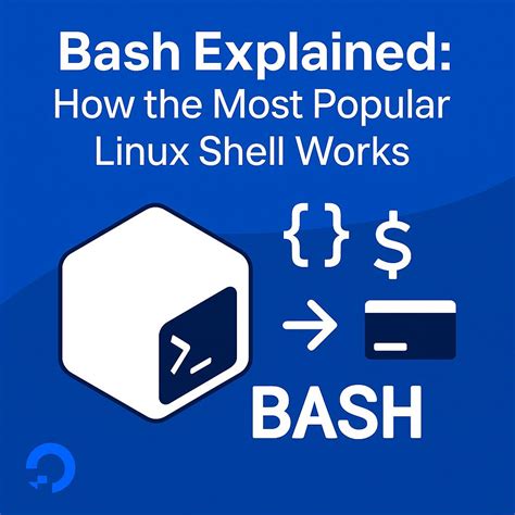 Bash Explained How The Most Popular Linux Shell Works Digitalocean