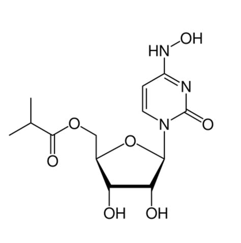 Molnupiravir The Next Cure For Cov 2 Ip2 Patentanwalts Gmbh