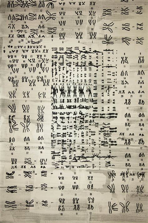 Codex Genome — Suzanne Anker