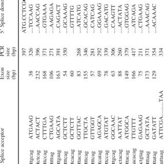 Exon Intron Sequence Boundaries Of SEL1L And Primer Pairs Used To Download Table