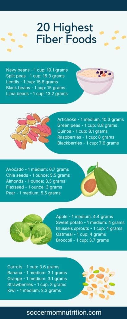 High Fiber Food Chart Pdf Printable