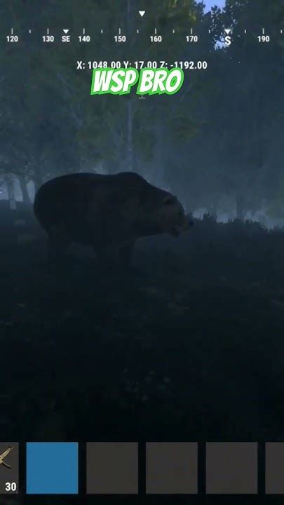 Wsp Bro Rust Youtube