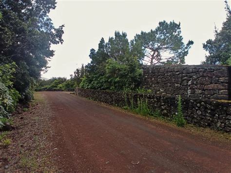 Large Private Forest By The Sea On Pico Island Azores Properties