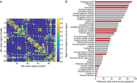 Average Structural Connectivity Matrix And Distribution Of Hubness Download Scientific Diagram