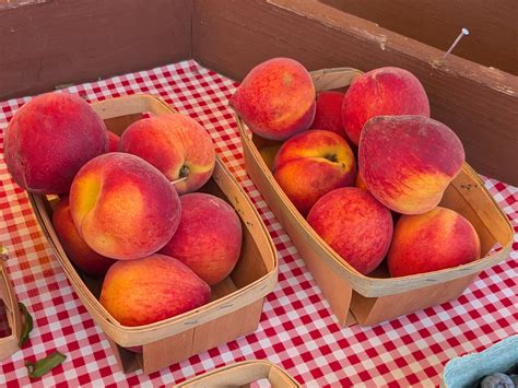 Peaches Untiedts Vegetable Farm