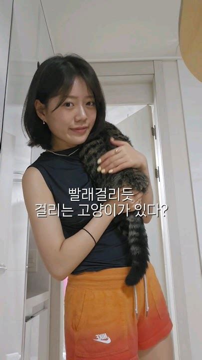 거대 고양이 걸기 Youtube