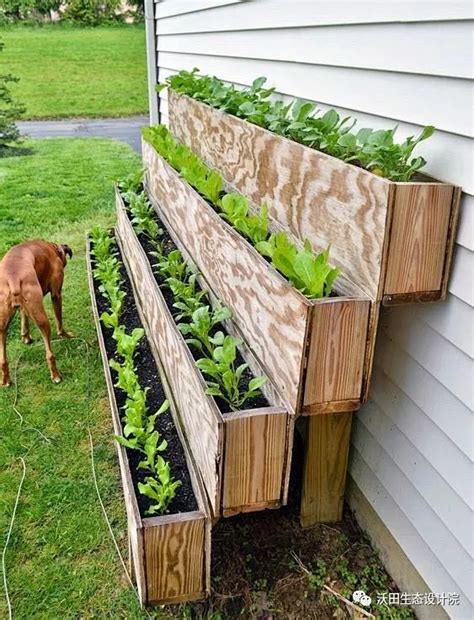 农场创意种植箱 达宇工具网