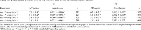 Table Iv From Defects In Axonal Elongation And Neuronal Migration In Mice With Disrupted Tau And