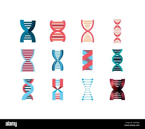 Dna Structure Icon Set Design Chromosome Science Molecule Genetic
