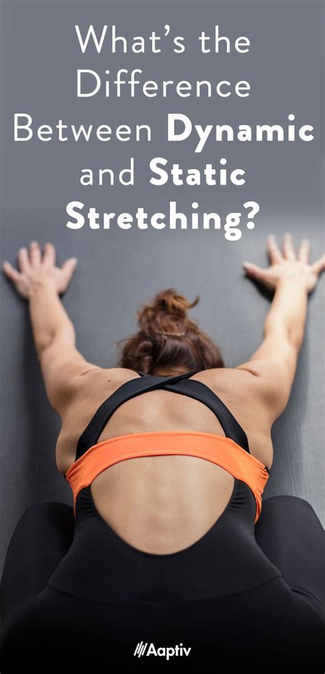 What S The Difference Between Dynamic And Static Stretching Aaptiv Static Stretching