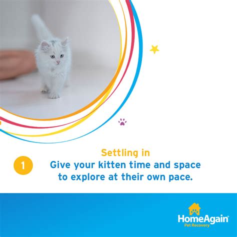 Homeagain Uk