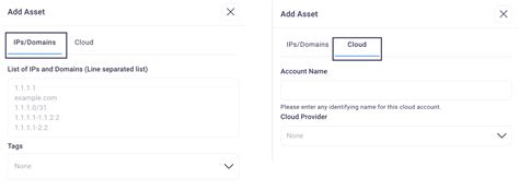 Easm Asset Introduction The Netspi Platform