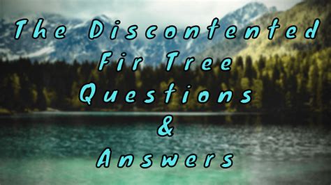 The Discontented Fir Tree Questions Answers WittyChimp