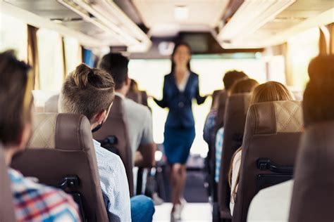 스튜 어디 스 버스에 포즈는 그것은 승객이 앉아 있다 좌석 행 사이의 의미 합니다 개념에 대한 스톡 사진 및 기타 이미지 개념 개념과 주제 거리 Istock