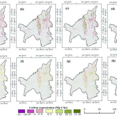 Spatial And Temporal Patterns Of Cumulative Carbon Sequestration In Download Scientific Diagram
