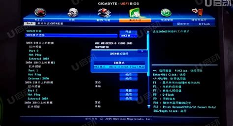 Ga B M D V Tm Bios U Pe Bios