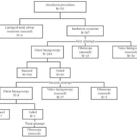 Flow Diagram Of Anesthesia Procedures Download Scientific Diagram