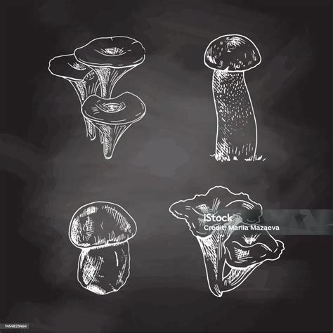 벡터 스케치 다른 버섯의 컬렉션입니다 검은색 칠판에 격리된 흰색 스케치 인쇄 웹 모바일 및 인포그래픽을 위한 스케치 그림 Boletus에 대한 스톡 벡터 아트 및 기타