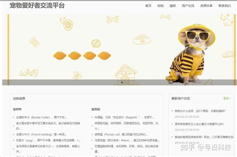 php毕业设计源码下载 基于php宠物爱好者交流平台管理系统 知乎