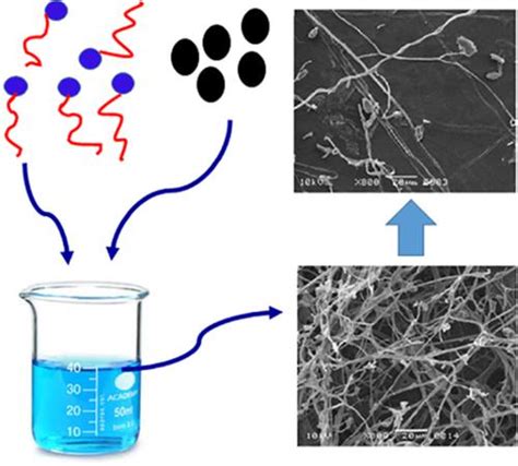 通过基于聚（环氧乙烷） 嵌段 聚（ε 己内酯）共聚物的胶束递送而提高克霉唑的治疗功效 Journal Of Applied Polymer Science X Mol